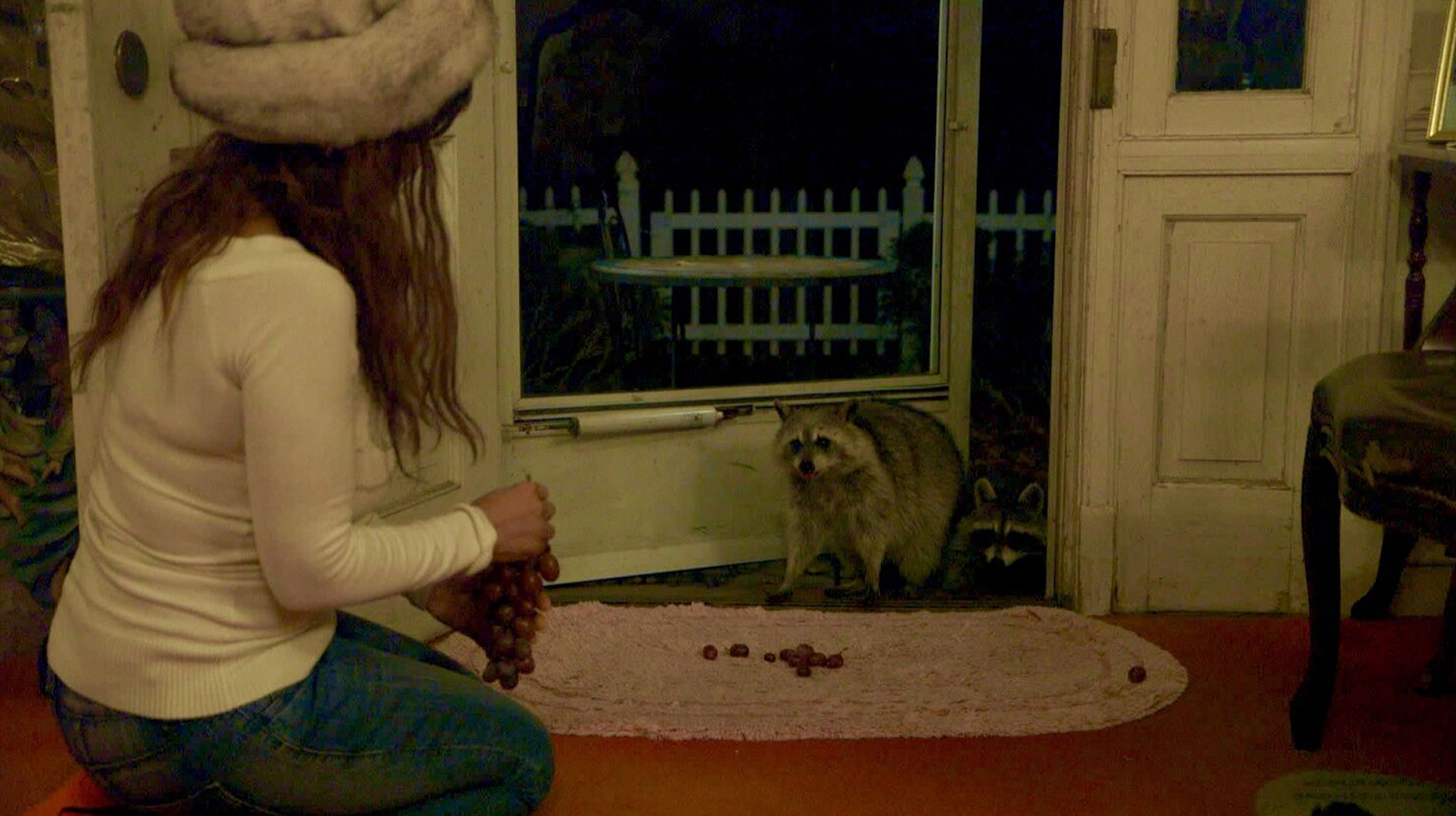 Catapult Film Fund - Films - Instant Life